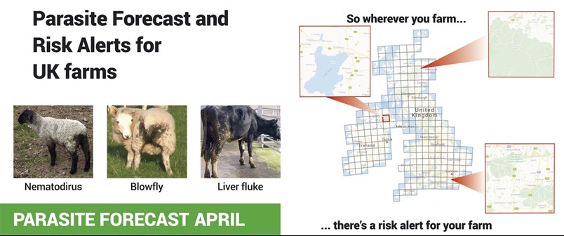 NADIS - National Animal Disease Information Service